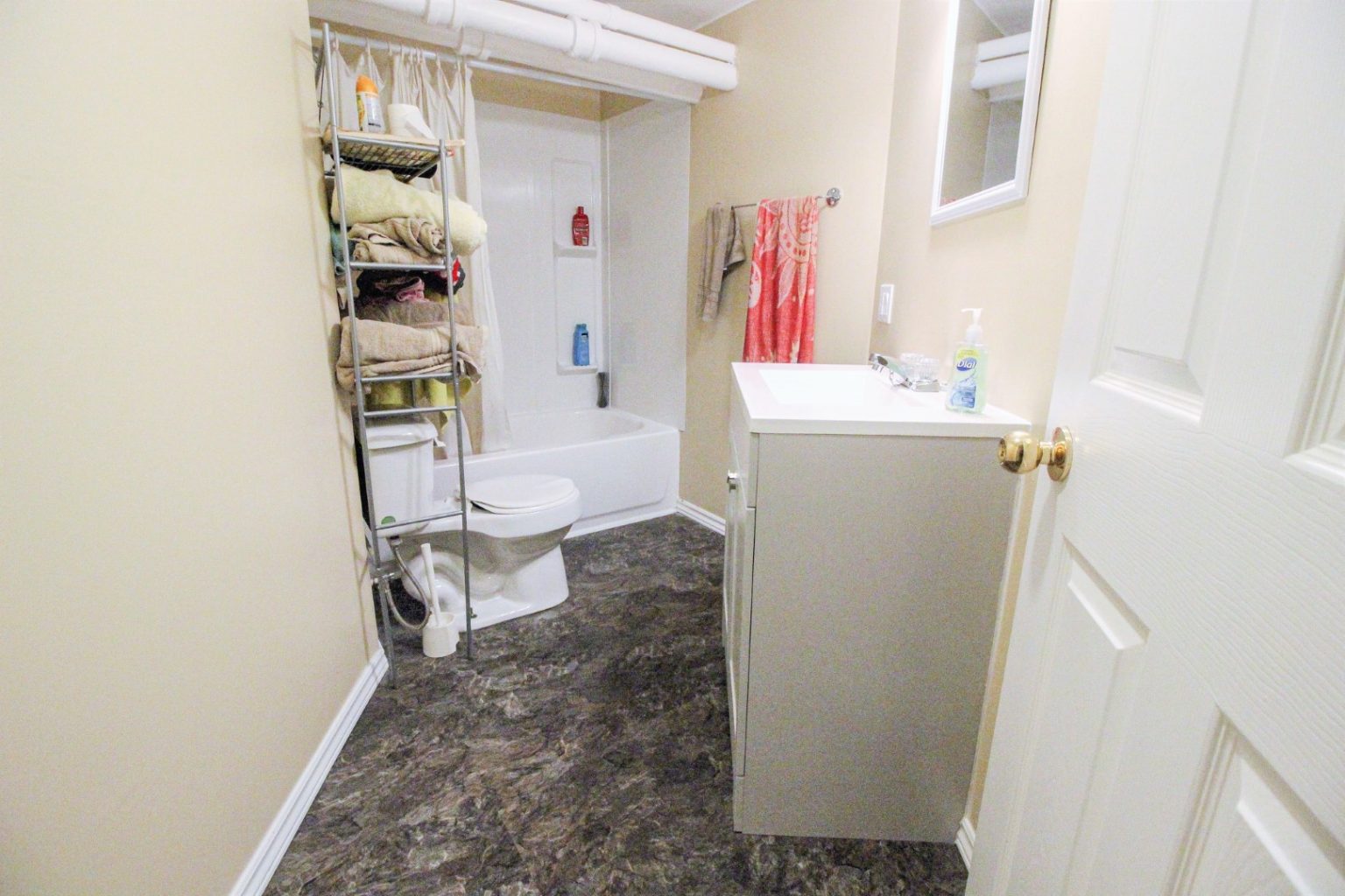 basement bathroom | The Ames Team